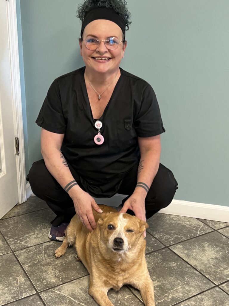 Our Team - Olsen Veterinary Clinic